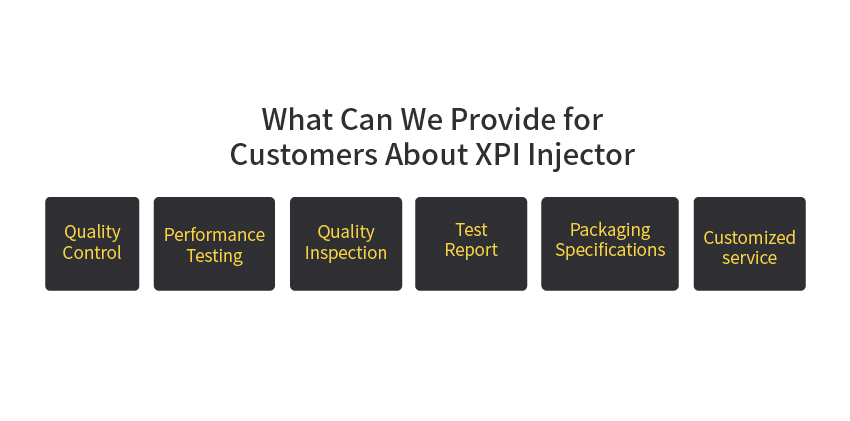 Diesel Common Rail XPI Injector- About Product